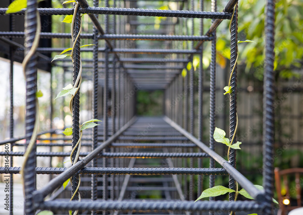 Structural steel bars are welded into a square with vines and trees ...