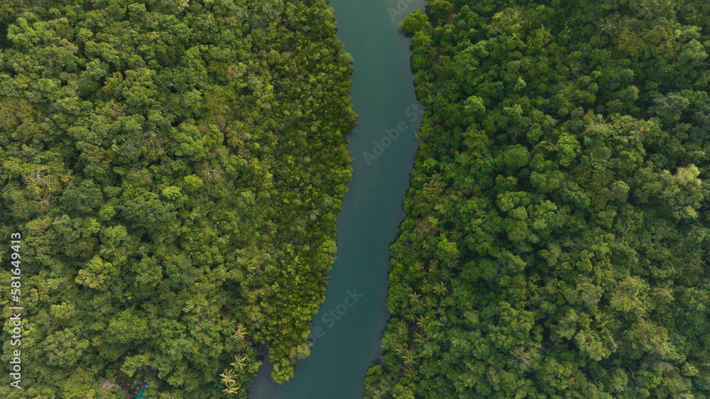 Aerial view of dark green forest and river. Rich natural ecosystem of ...