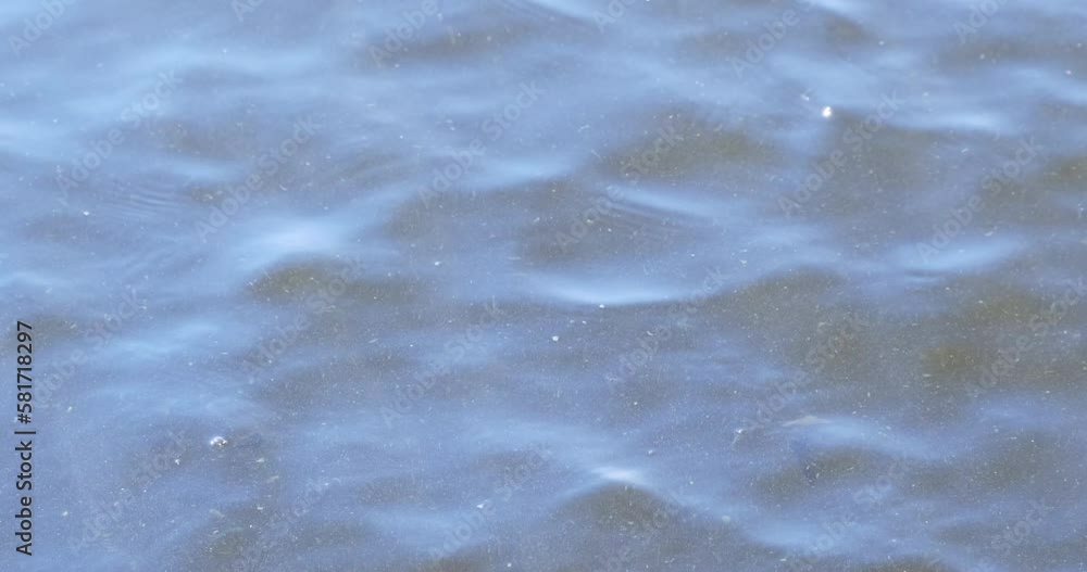 Close up, shiny river water in sunny summer, fish swim, sun light ...