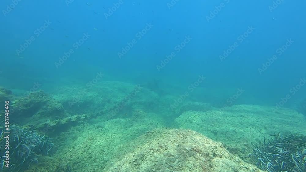 Anchor chain on the seabed. An anchor chain covered with algae ...