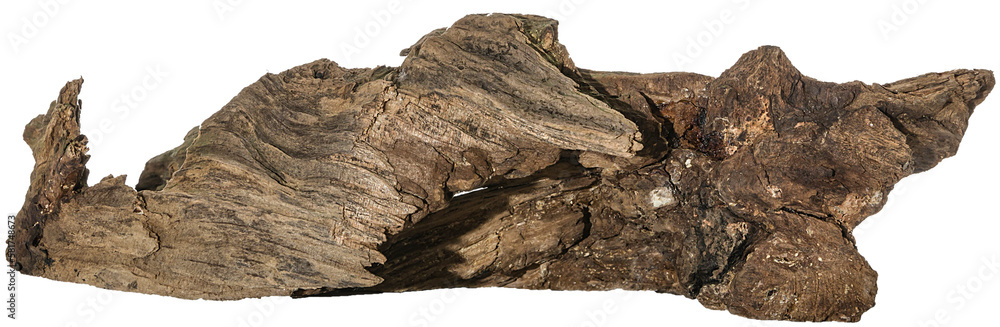 Piece of a root / trunk river wood, driftwood, natural wood, plant root ...