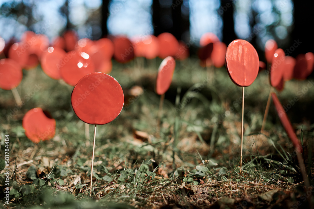 Red lollipops on stick against green grass, outdoor land art objects ...