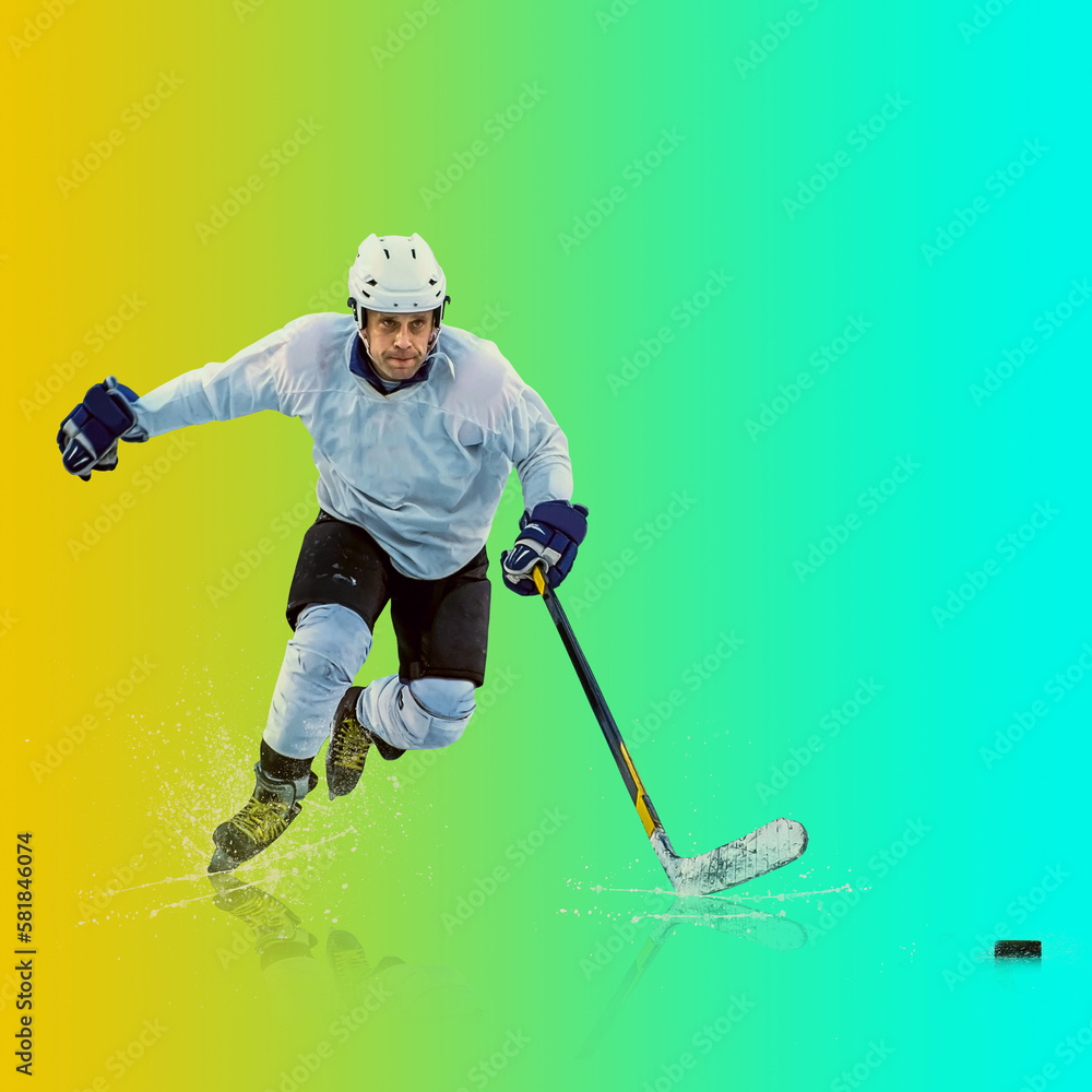 Hockey Puck On Ice Goal