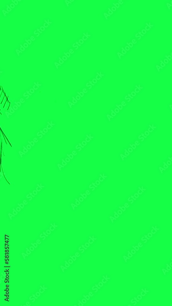 vertical video, Hand drawing Of A horse - Art Process on green screen ...