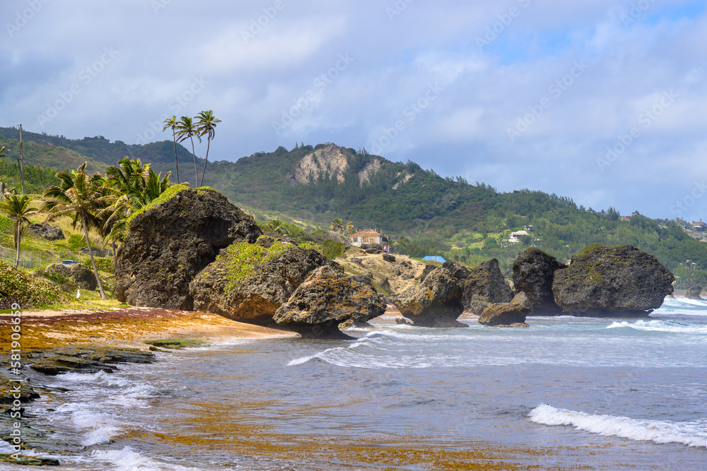 Rock formation on the beach of Bathsheba, East coast of island Barbados ...