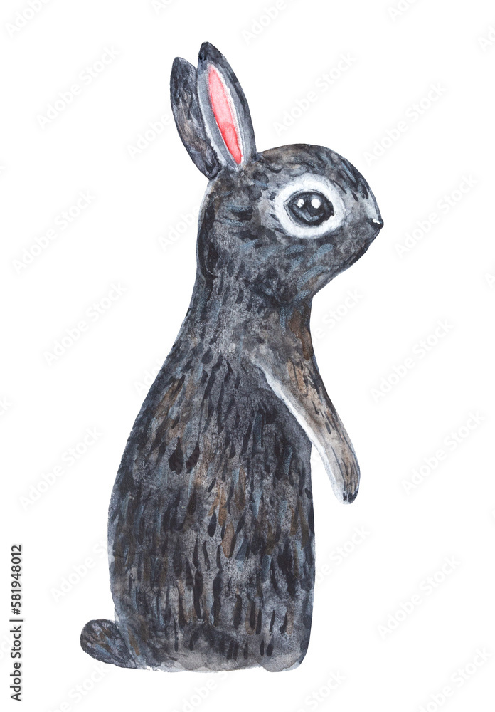 Watercolour illustration of cute little rabbit standing on its hind ...
