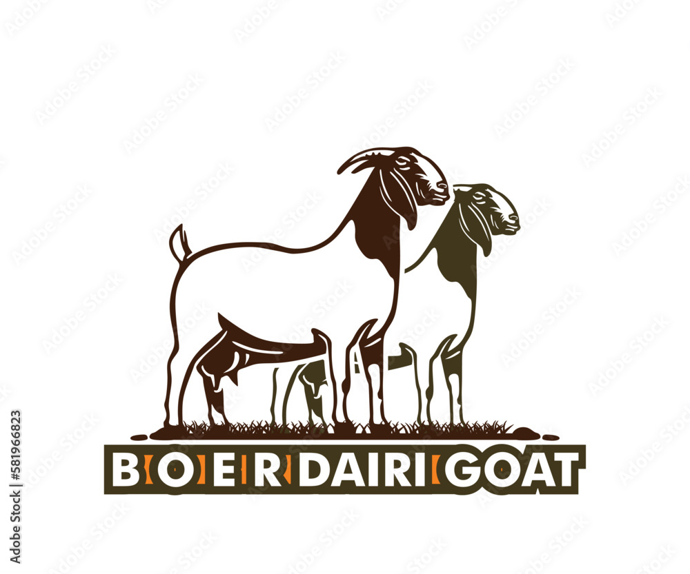 Boer Goat Vector