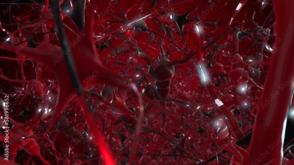 Journey through a neuron cell working network inside the brain fly ...