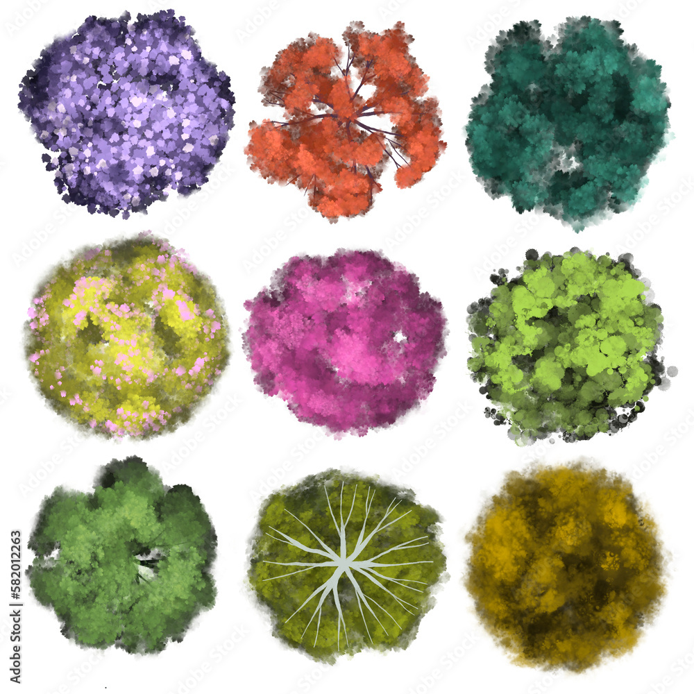 Set of Architectural plans trees isolated on white background. Bushes ...