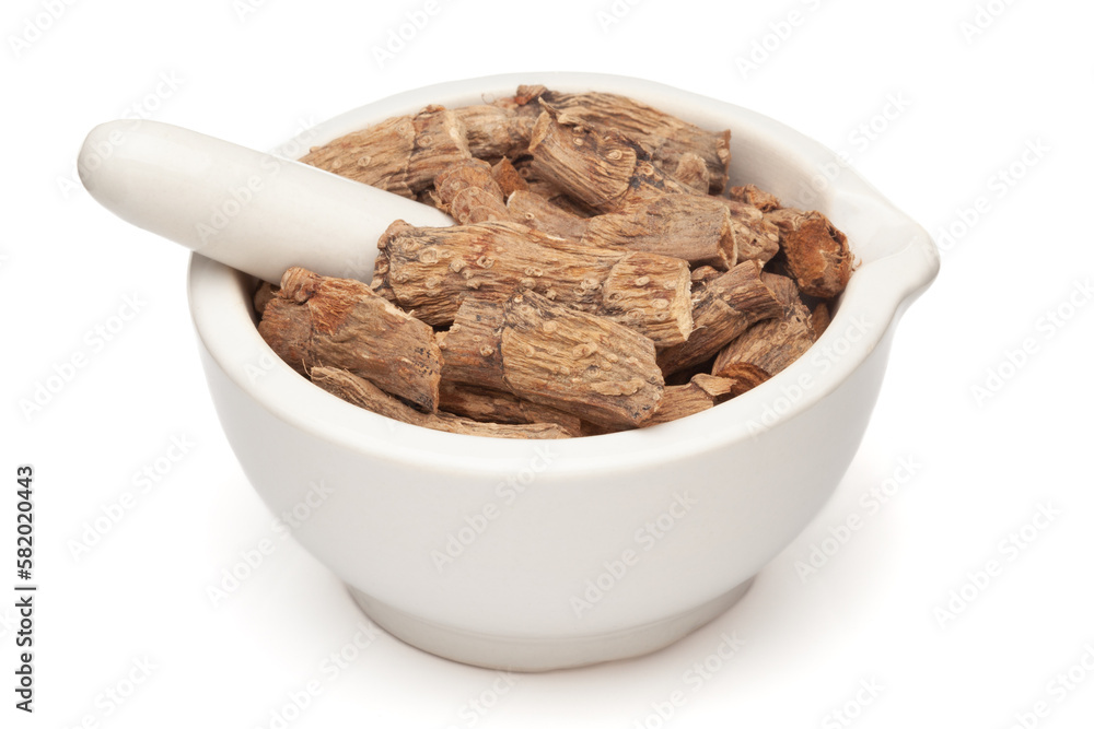 Closeup of Dry Sweet flag or Vach (Acorus calamus) roots, in white ...