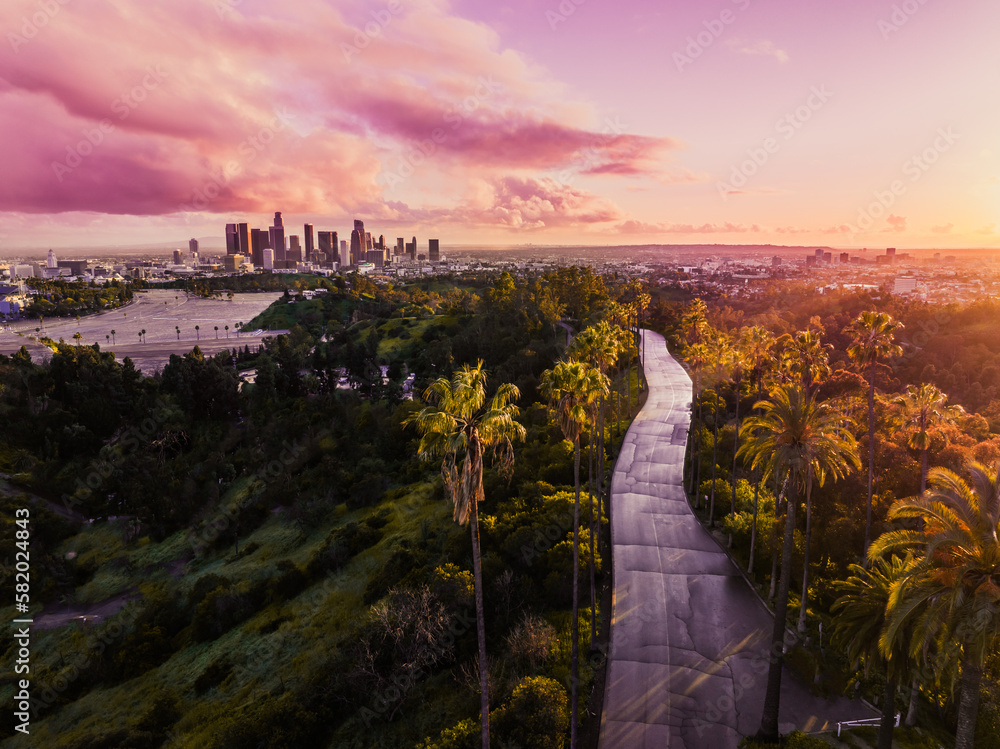 The skyline of los angeles with palm trees. Los Angeles hot sunset view ...