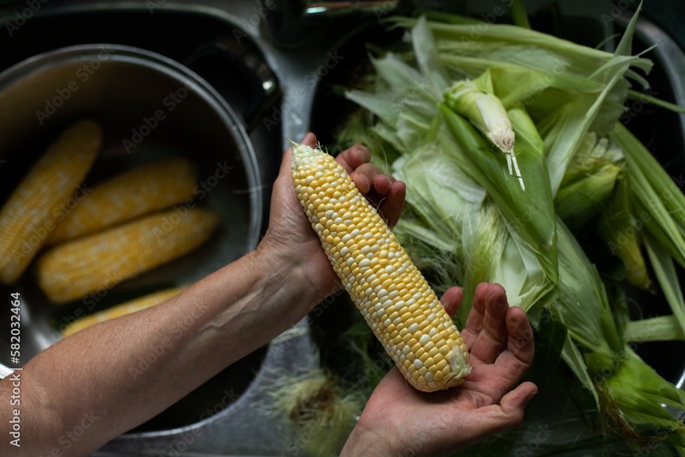 Corn on the cob. Cleaning corn before cooking. Сooking of corn ...
