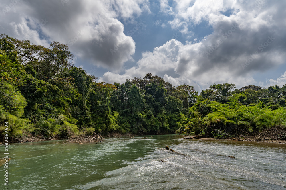 Landscape of the Usumacinta river, the international geographic border ...