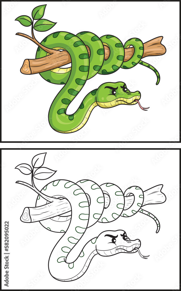 Coloring book cute snake. Coloring page and colorful clipart character ...