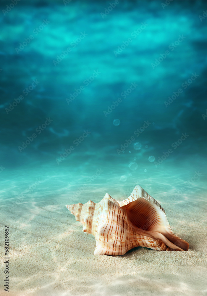 Seashell on the summer beach in sea water. Underwater ocean background ...