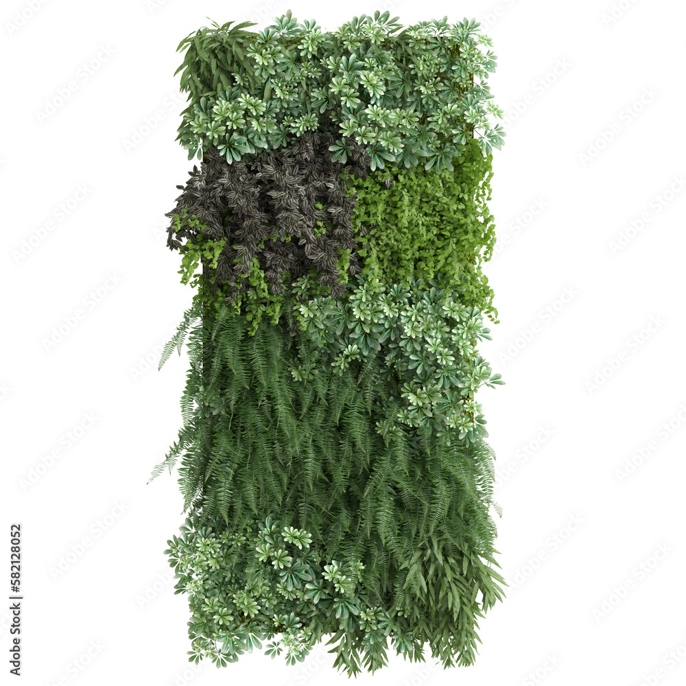 3d illustration of wall tree isolated on transparent background Stock ...