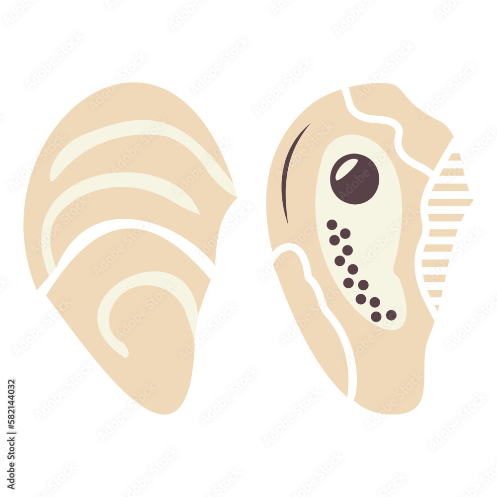 Pacific oyster concept, salt-water bivalve molluscs vector design, Sea ...