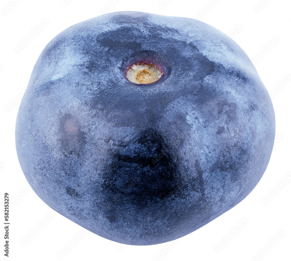 Single blueberry berry isolated on transparent background Stock Photo ...