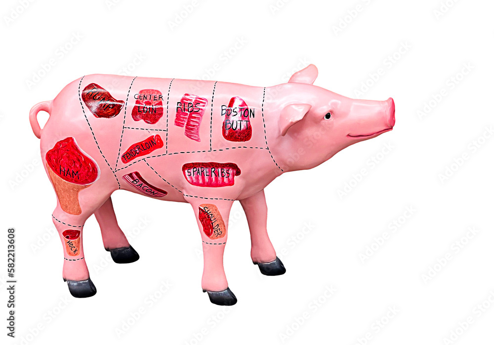 A model of a pig with drawn pieces for meat. Butcher cut poster. Cuts ...