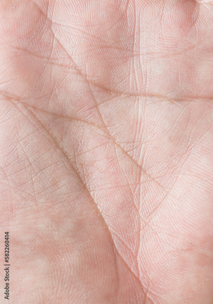 Macro image of the skin texture of the human palm,Macro image of the ...