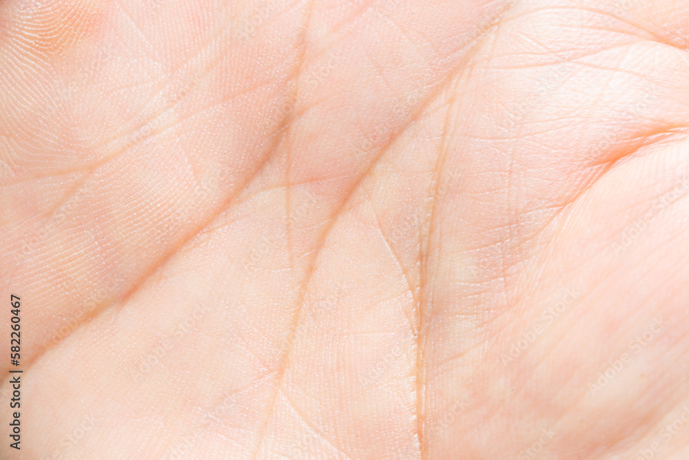 Macro image of the skin texture of the human palm,Macro image of the ...