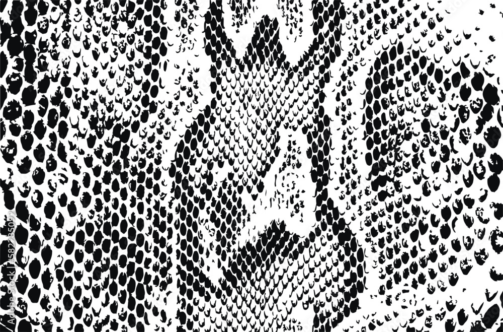 Snake print Vector Illustration, EPS Stock Vector | Adobe Stock