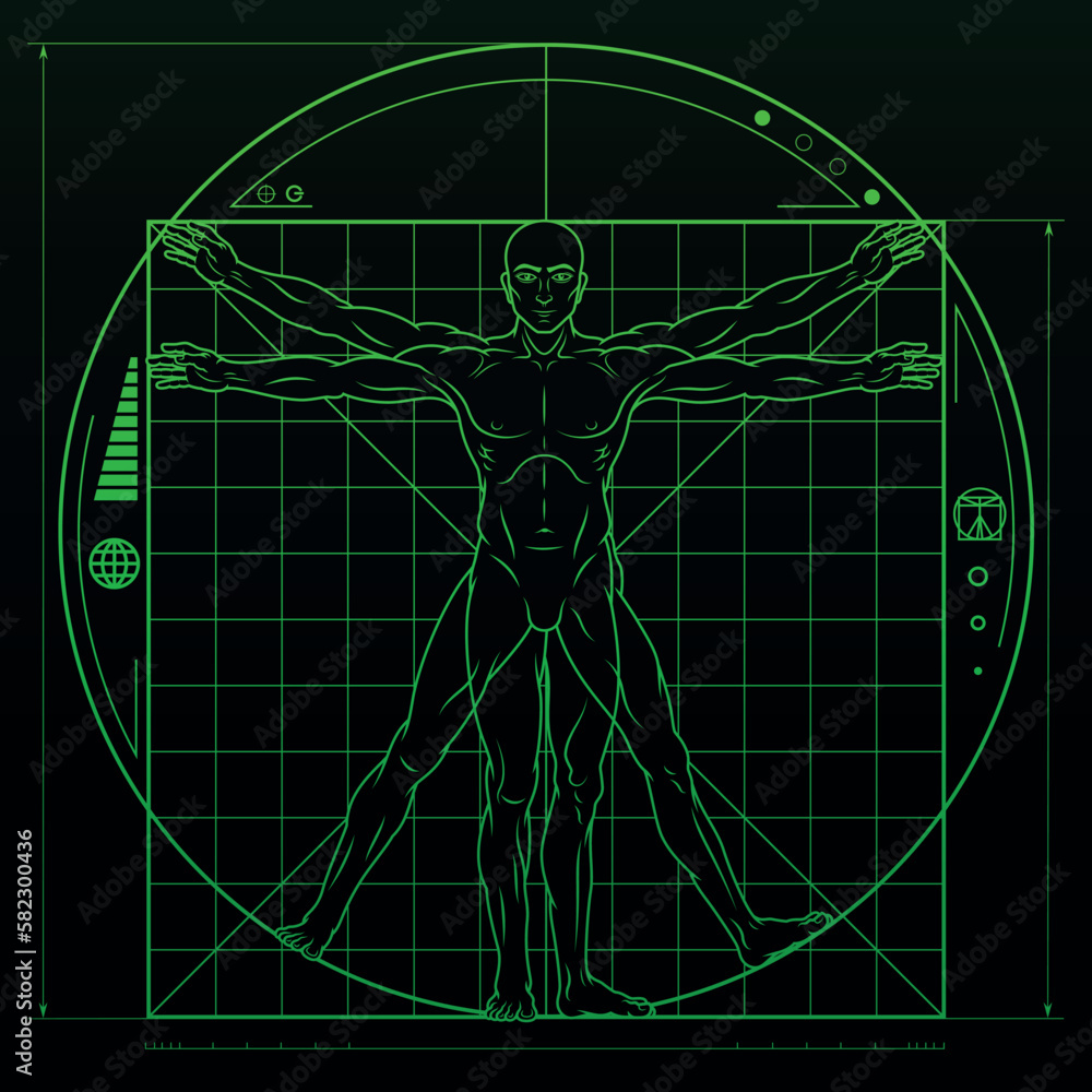 Vector design of cartoon style Vitruvian man, Study of the ideal ...