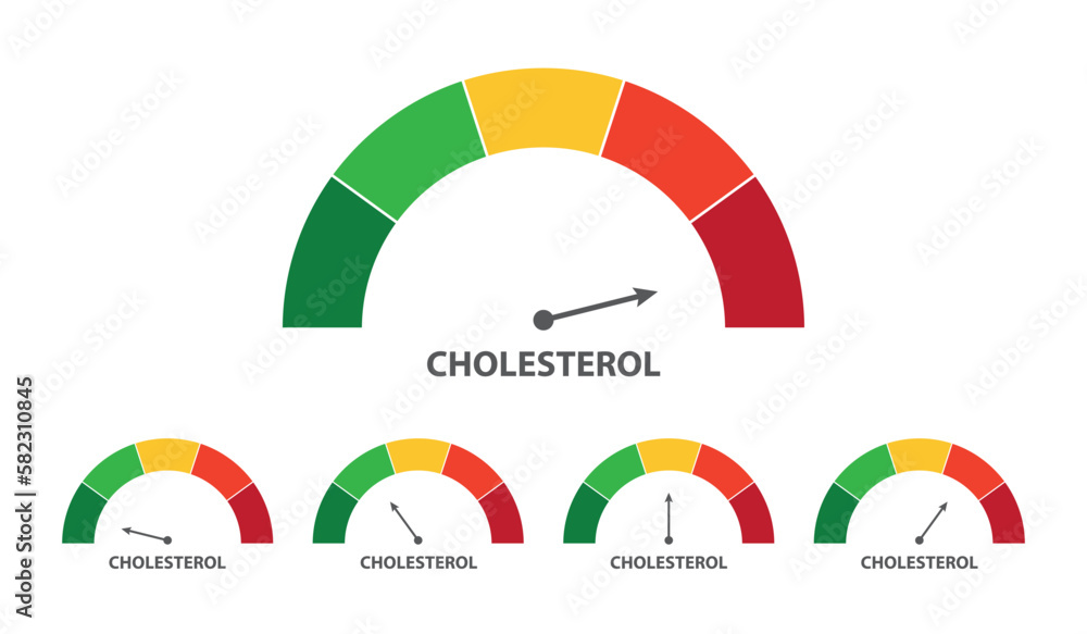 Five charts showing cholesterol level Stock Vector | Adobe Stock