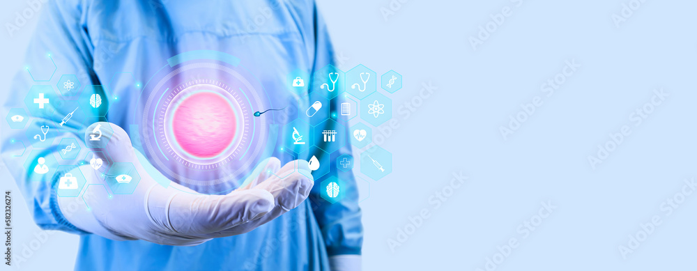 Fotografia do Stock: Pregnancy, fertilization of the ovum. natural ...