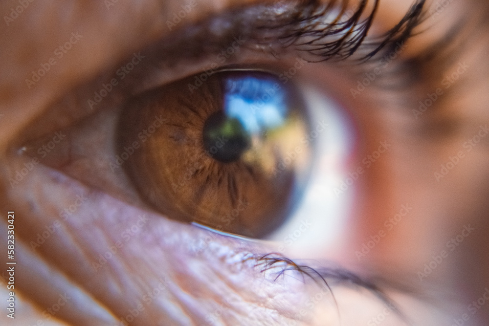 macro de ojo color café, pestañas, iris, iridología, colores cafés de ...