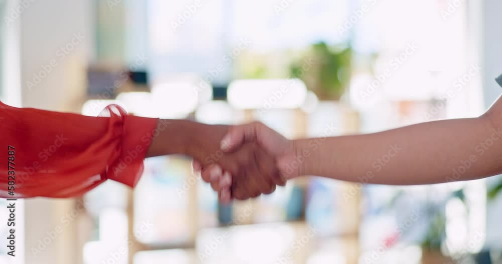Vidéo Stock Handshake, women and office for agreement, partnership and ...