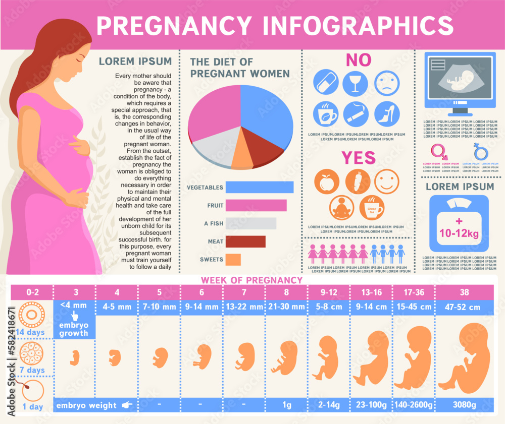 Pregnancy Infographic Health Of Pregnant Women And Fetal Development