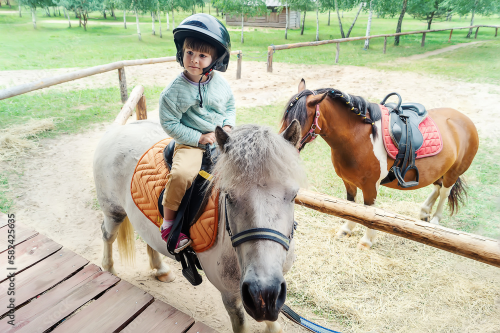 A little girl riding a miniature horse in nature. A charming little ...