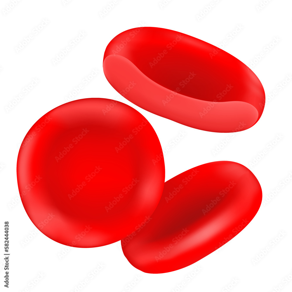 Photo & Art Print Red blood cell., achiichiii