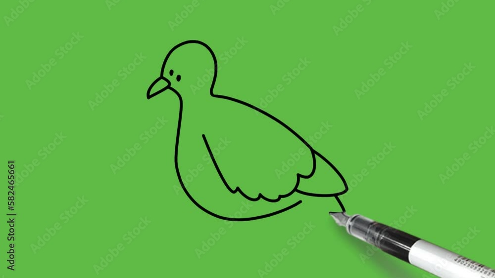 Draw sitting pigeon bird with black outline on abstract green screen ...