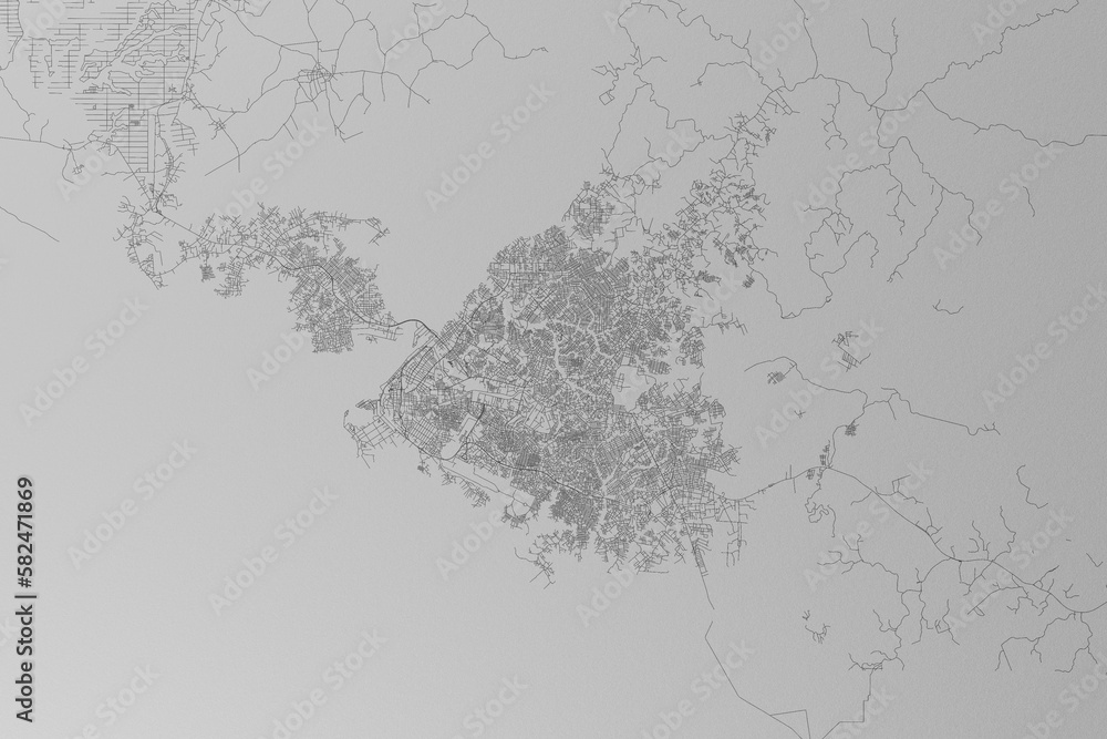 Map of the streets of Douala (Cameroon) made with black lines on grey ...