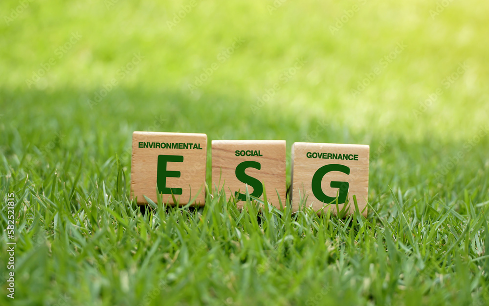 Words ESG on a wood block on the lawn and Future environmental ...