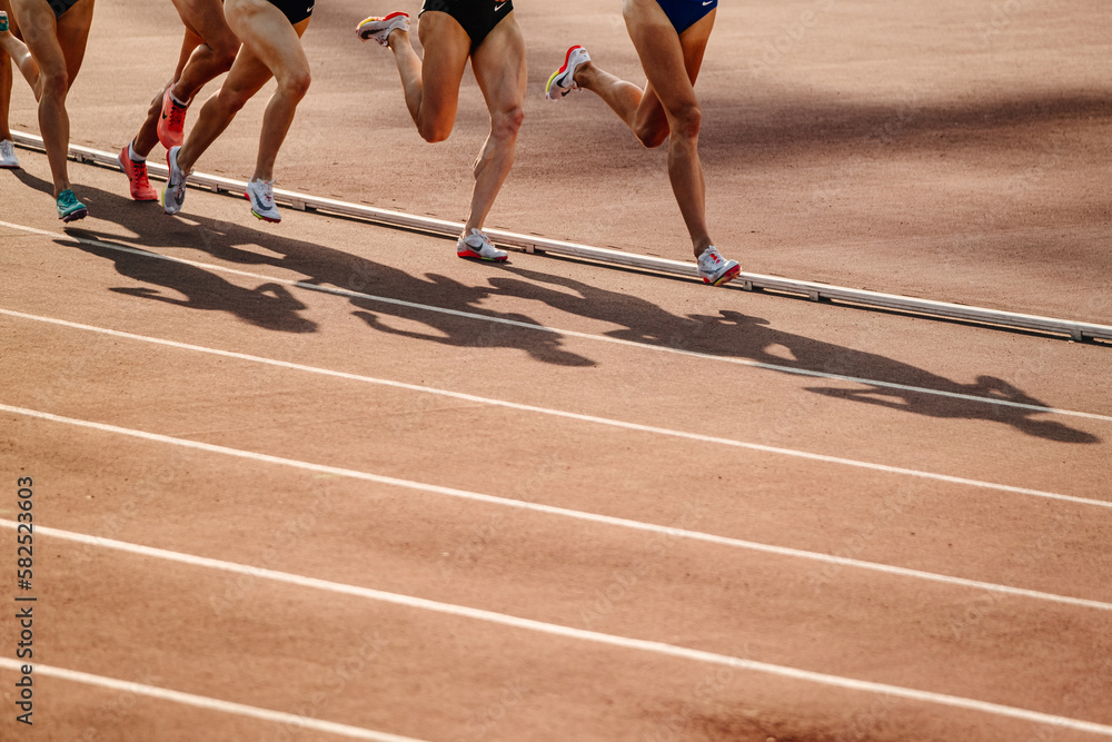 legs group female athletes run middle distance race at stadium, spikes ...