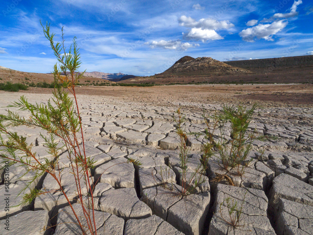 Dried and Cracked mud bottom in Lake Mead area near Las Vegas. Shot in ...