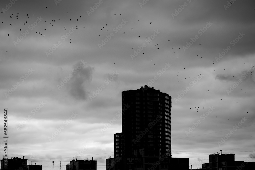Gloomy black and white cityscape. Rooftops of high-rise buildings ...