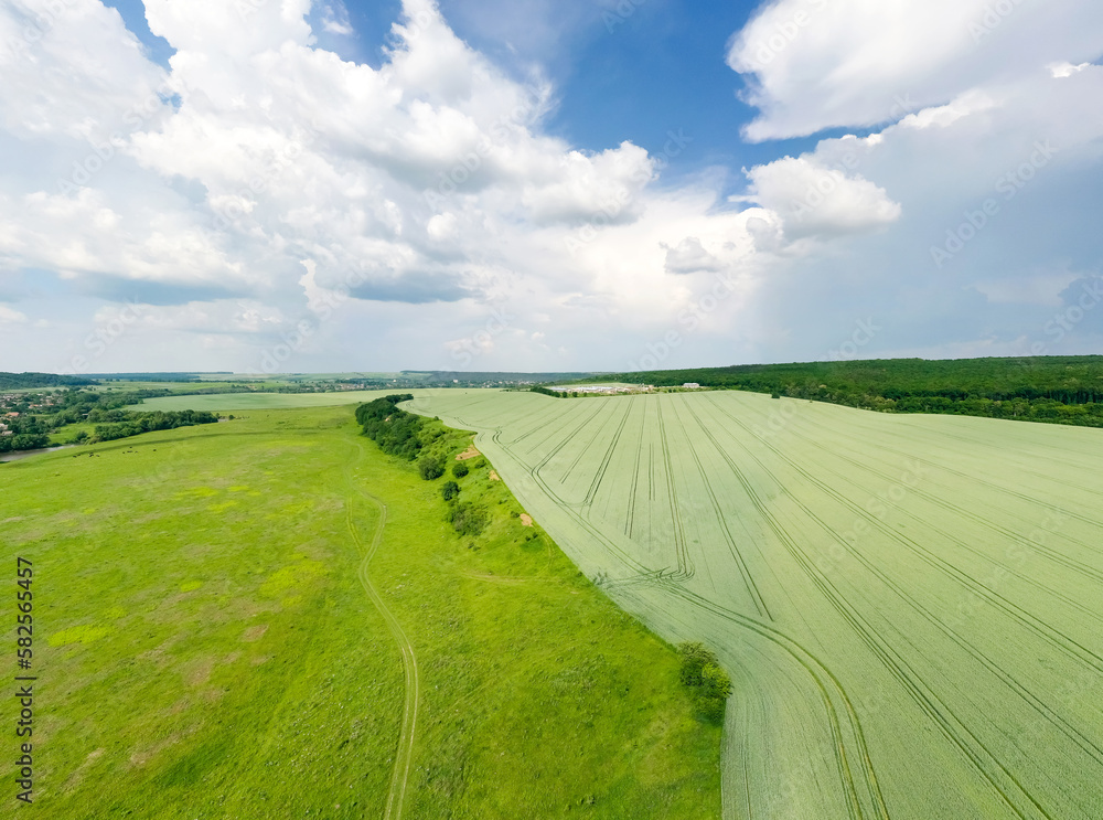 Splendid green field and perfect blue sky with clouds background. Stock ...