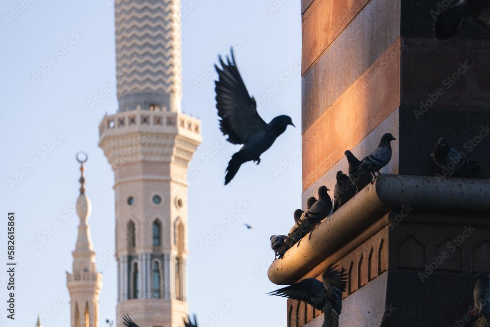 MECCA, SAUDI ARABIA: MAR 8, 2023. A pigeon is flying in Mecca near Al ...
