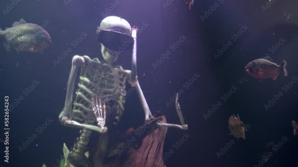 Skeleton with scuba diving goggles in the aquarium. Fish swim around a ...