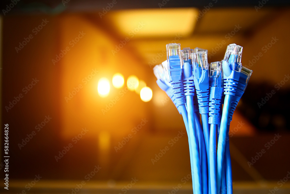 Hand choose lots of RJ45 UTP Cat6 LAN internet network cable fiber ...