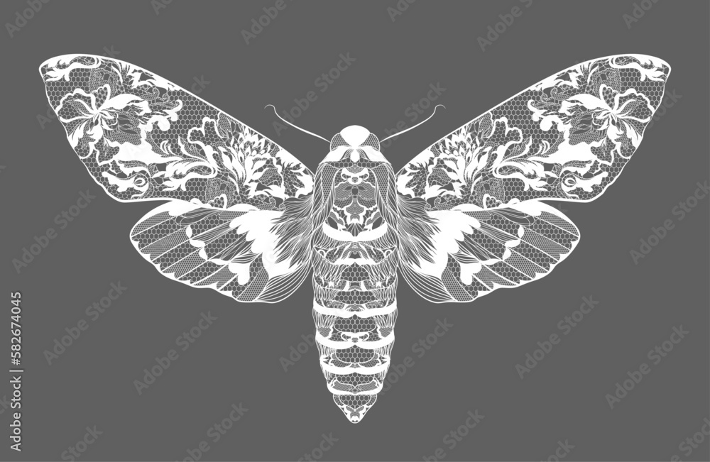 Moth. Lace floral pattern on the wings. Vector illustration Stock ...