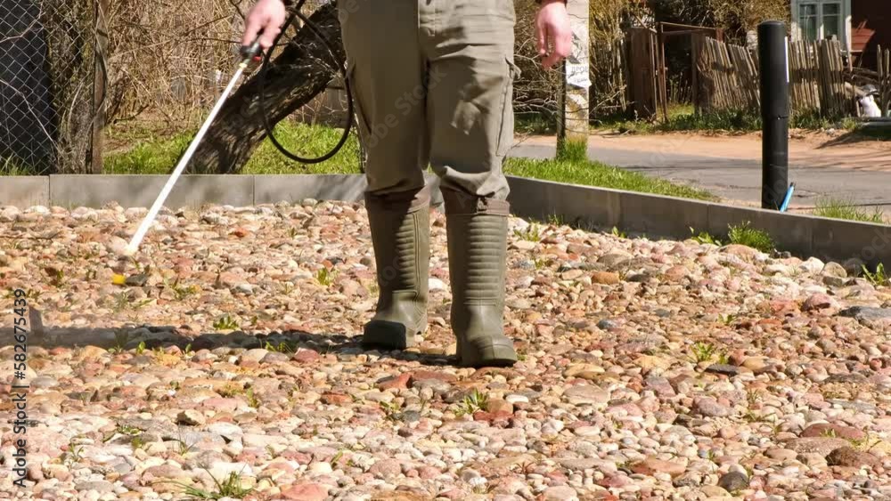 Weed killer. A person is spraying stone path with chemical poisonous ...