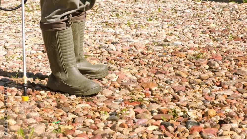 Weed killer. A person is spraying stone path with chemical poisonous ...