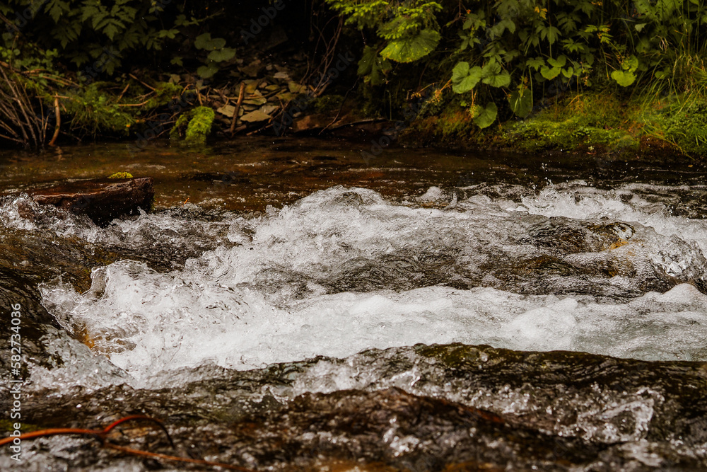 Nature scenic landscapes, mountain rivers and streams, brooks and small ...