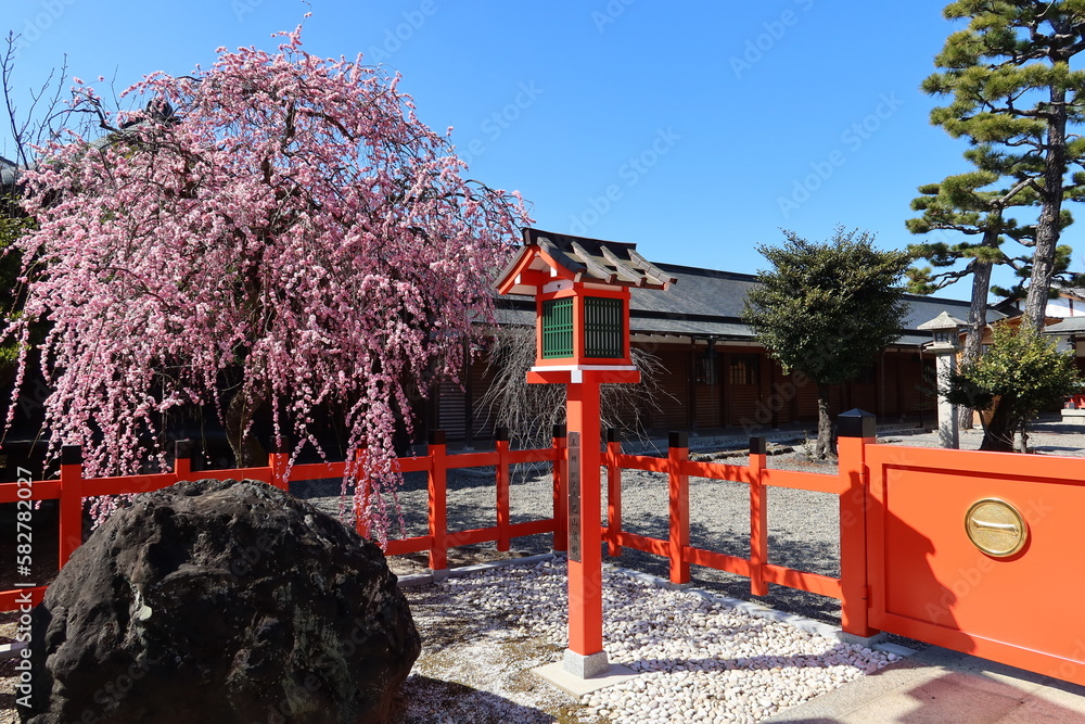 A shrine at Saga in Kyoto City : a scene of the precincts of Kurumazaki ...