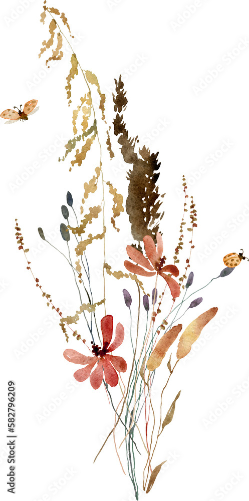 Wildflowers, herbs boho bouquet painted in watercolor. Subtle, delicate ...